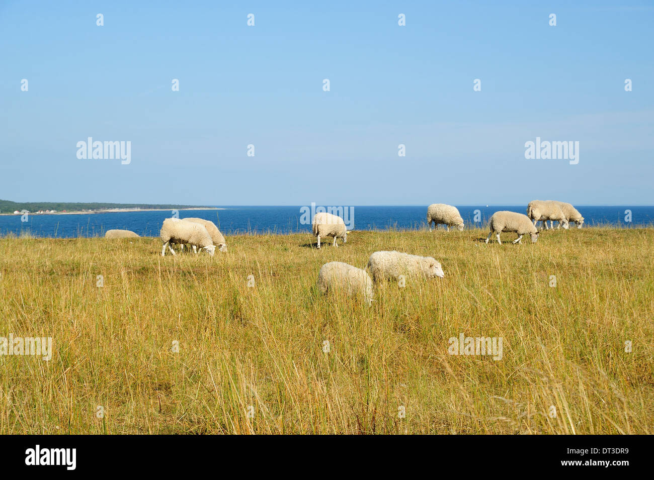Sweden landscape hi-res stock photography and images - Alamy