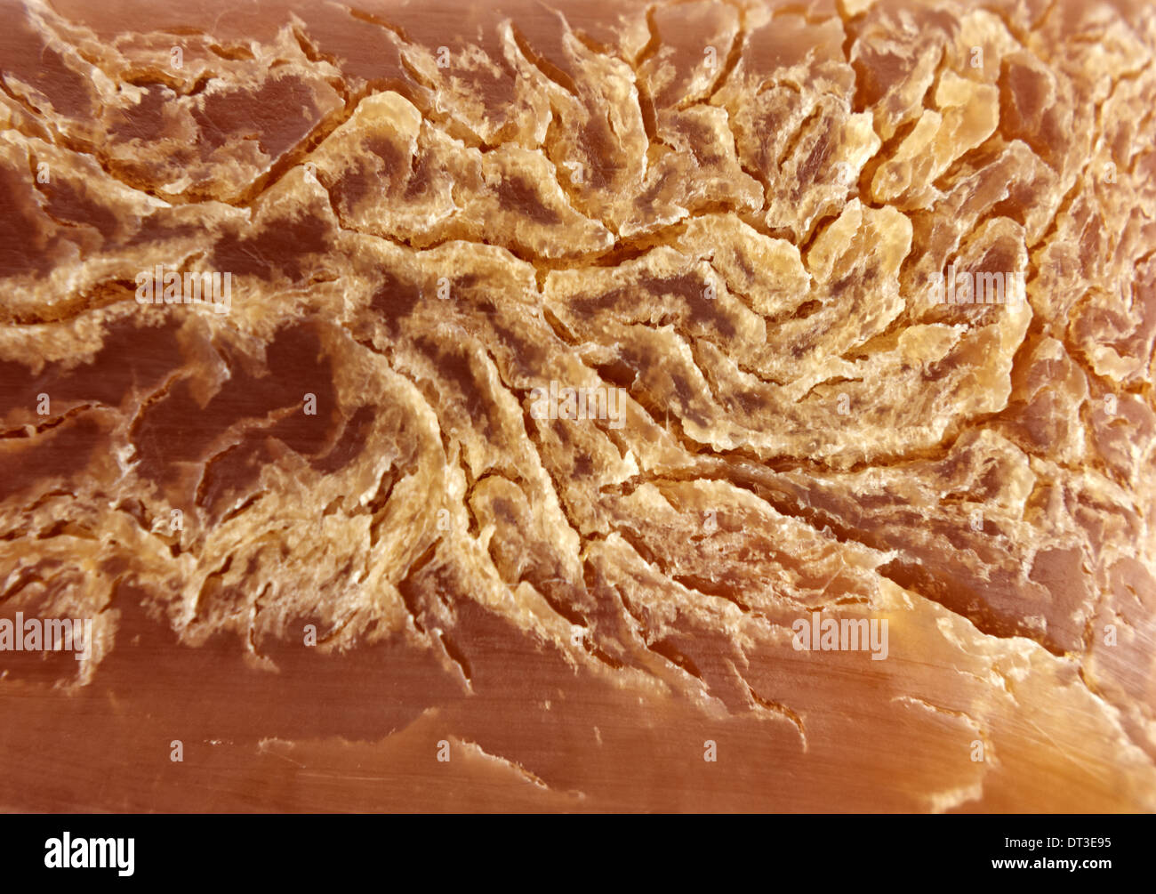 Unhygienic hi-res stock photography and images - Alamy