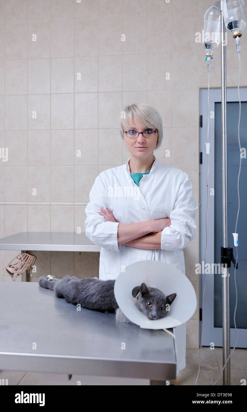 Veterinary assistant at work hi-res stock photography and images - Alamy