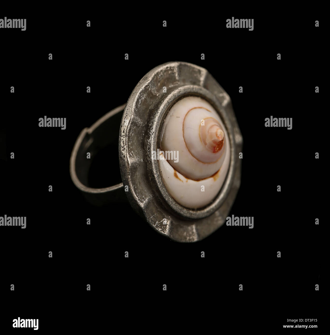 Shell ring hi-res stock photography and images - Alamy