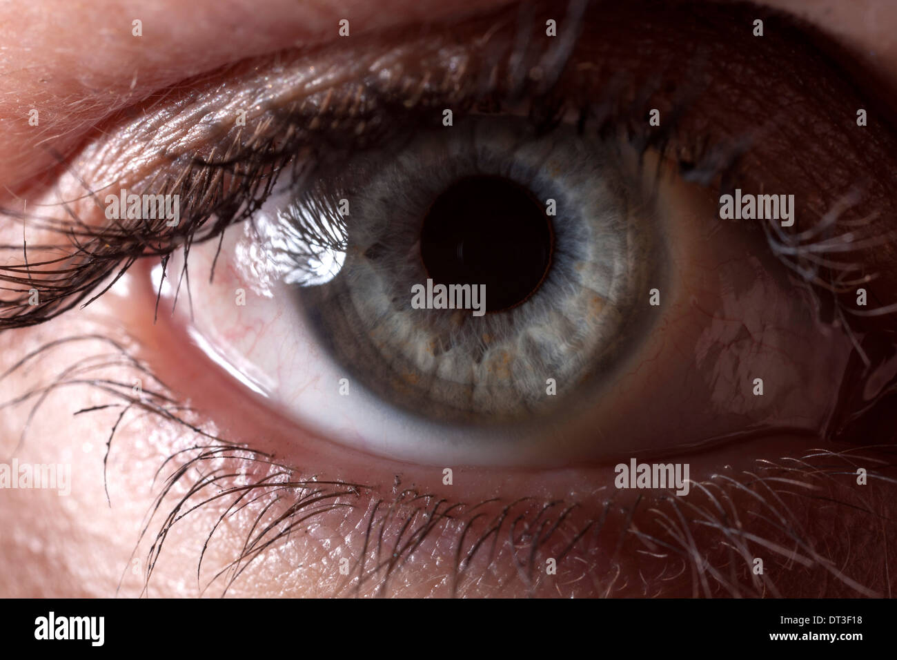 Closeup of an eye Stock Photo - Alamy