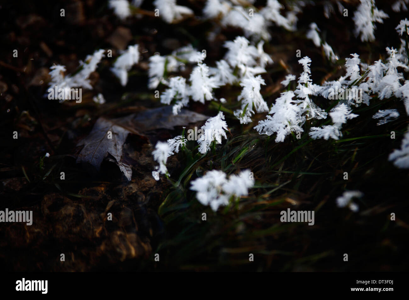 Snowflakes ground hi-res stock photography and images - Alamy