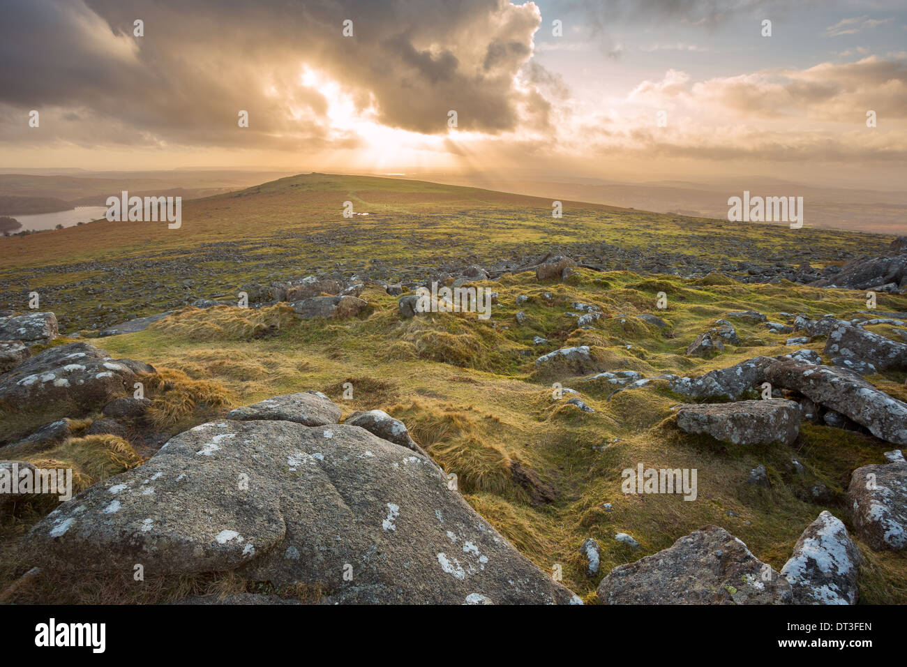 Burrator Reservoir Dartmoor National Park Stock Photos & Burrator ...