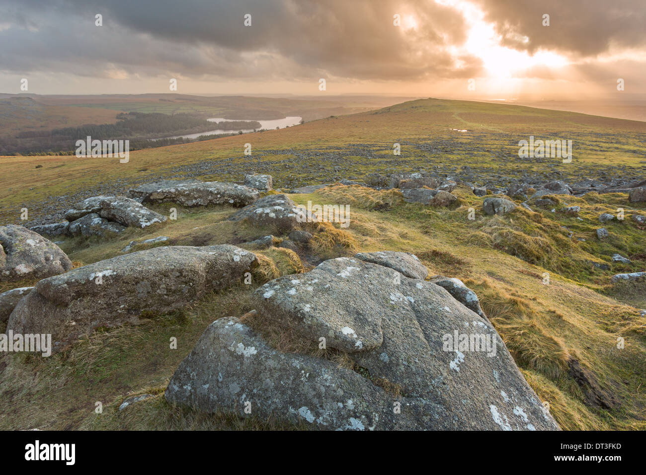 Burrator, dartmoor, devon hi-res stock photography and images - Alamy