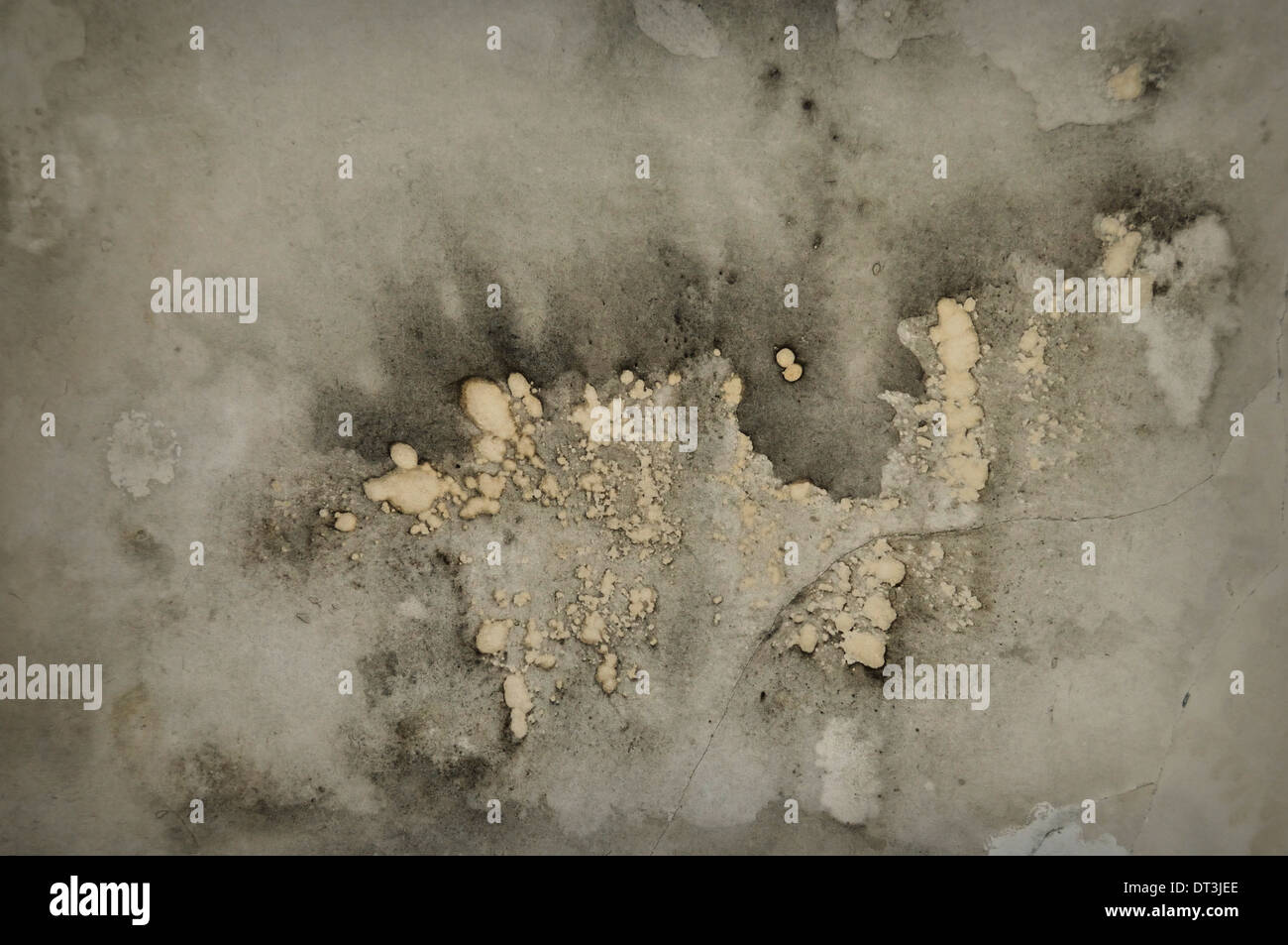 Mold growth and stains on peeling grunge abstract background Stock ...