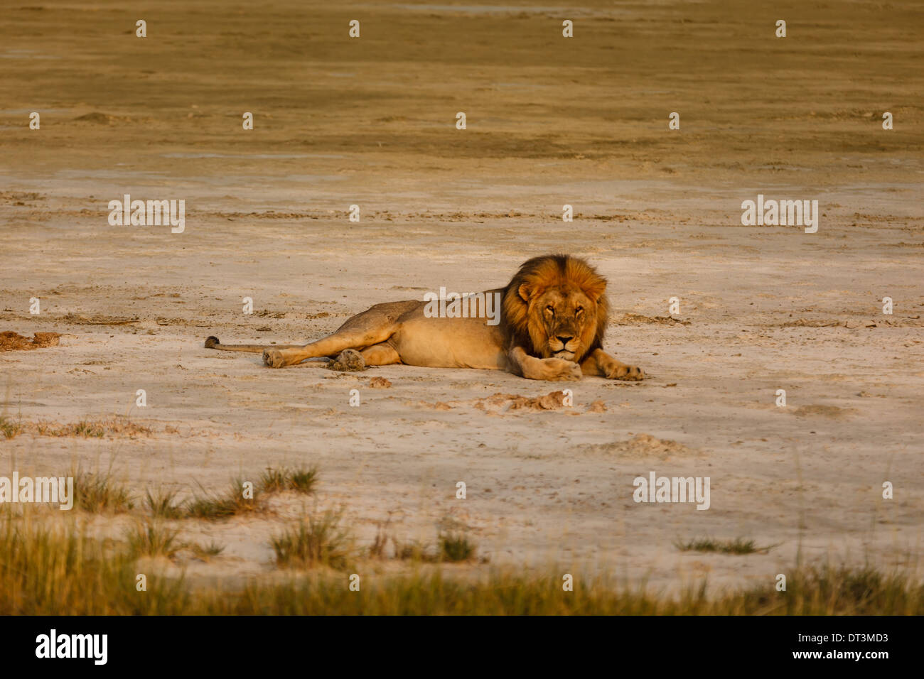 Namibian mountains hi-res stock photography and images - Alamy