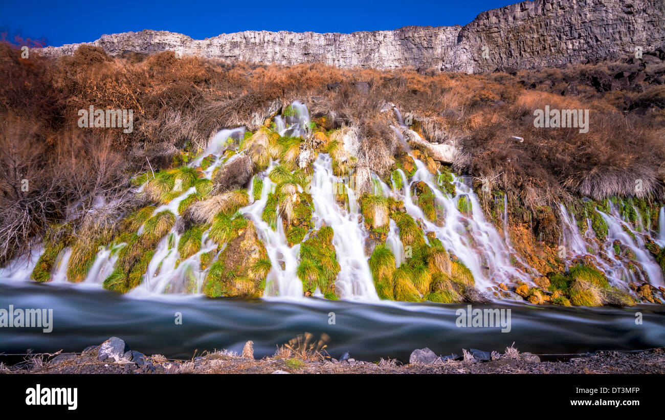 Thousand springs Idaho coming out of the basalt Stock Photo - Alamy