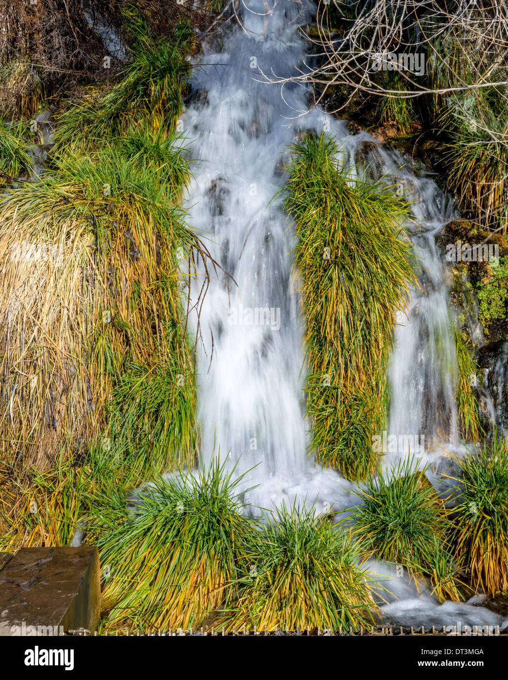 Water flows from a spring through grass Stock Photo - Alamy