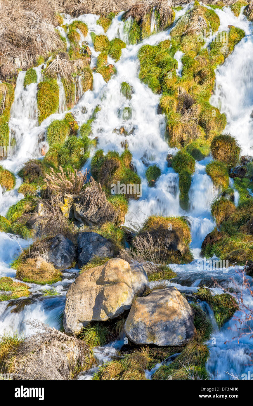 Gound Stock Photos & Gound Stock Images - Alamy