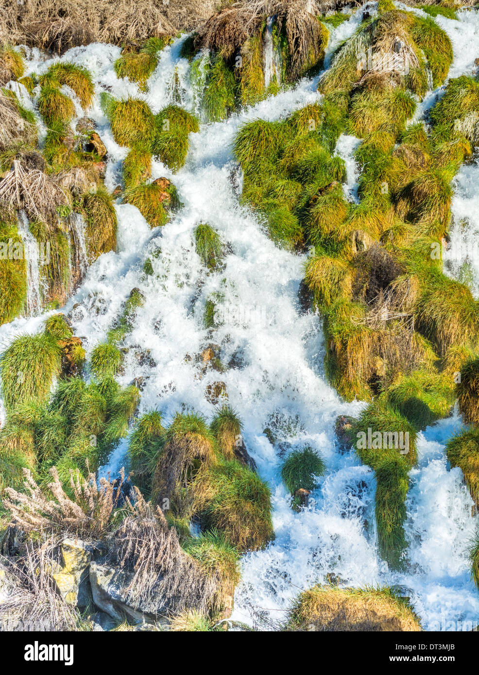 Natural spring flows from the ground Stock Photo - Alamy