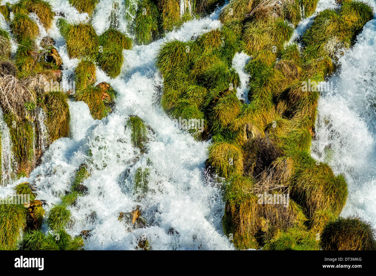 Fresh water spring flows through green grasses Stock Photo - Alamy