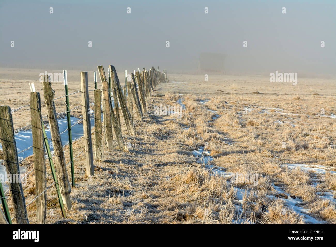 Farmers field in morning mist hi-res stock photography and images - Alamy