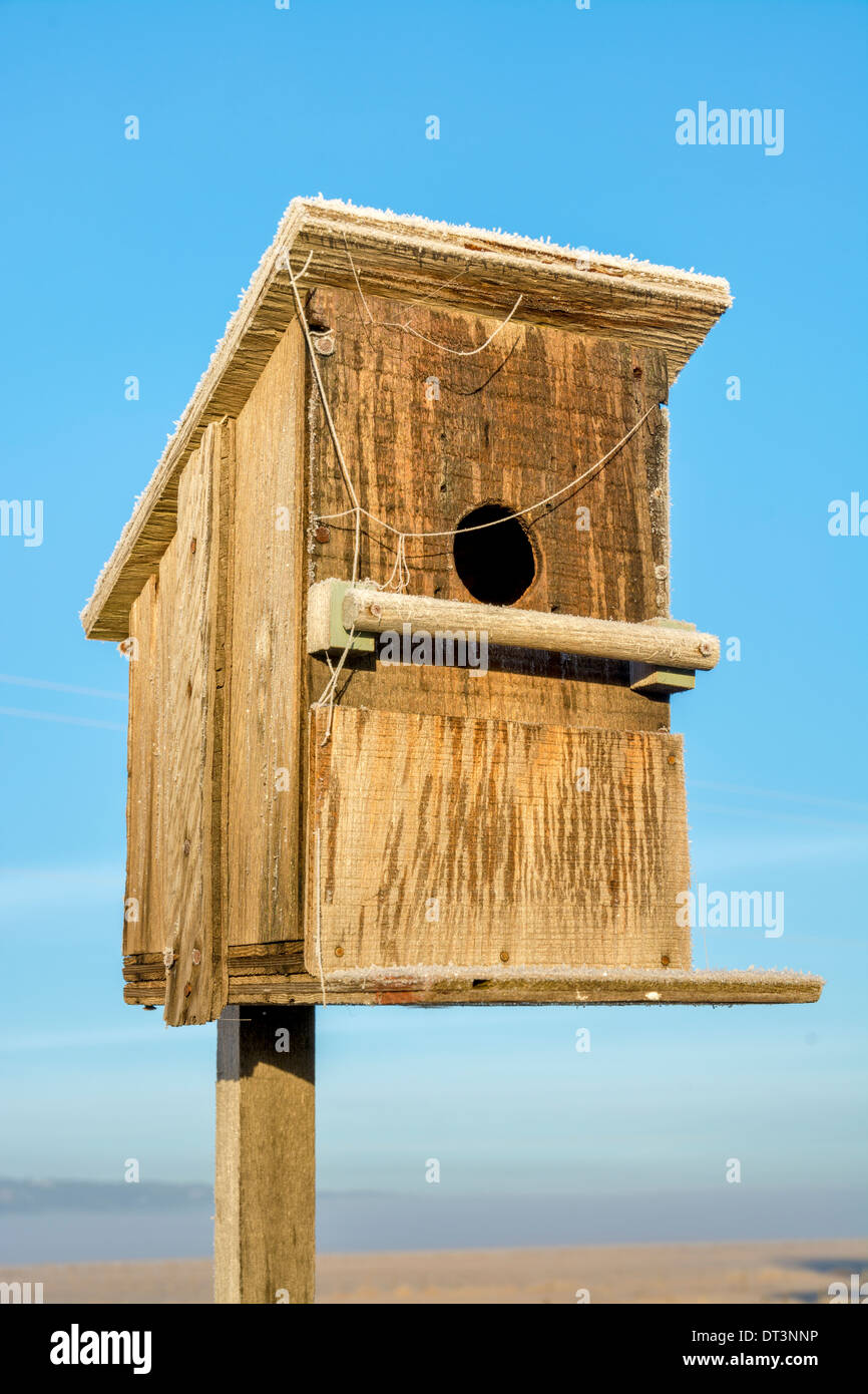 Rustic old birdhouse on a fames field Stock Photo - Alamy