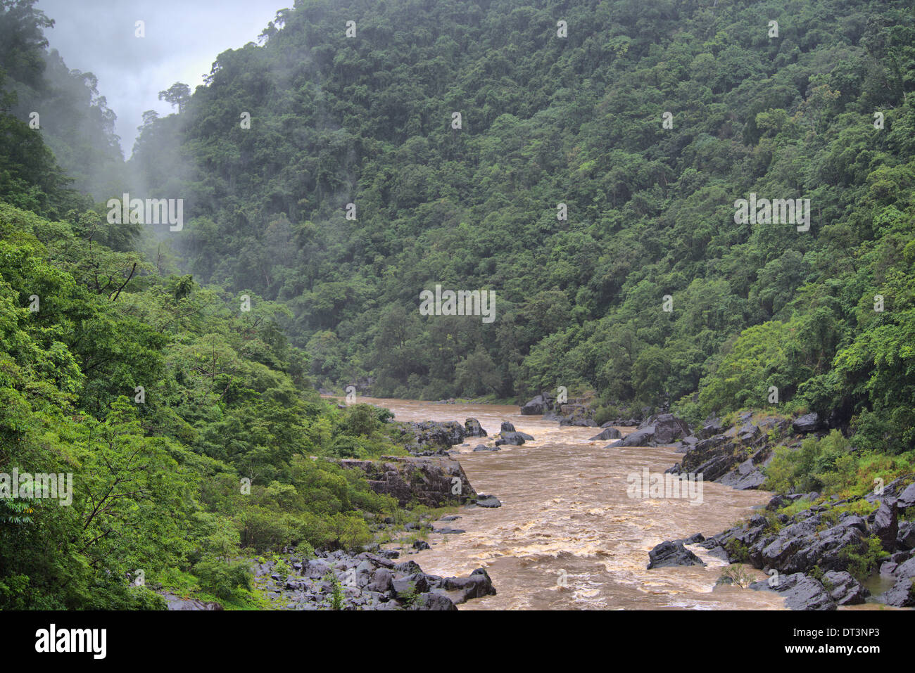 Barron Gorge near Cairns, Queensland, Australia Stock Photo - Alamy