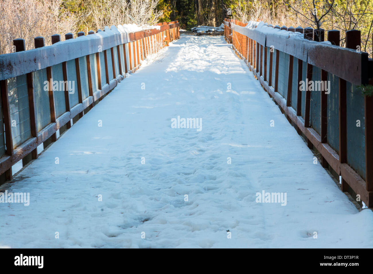 Cold winter bridge leads to the forest Stock Photo - Alamy