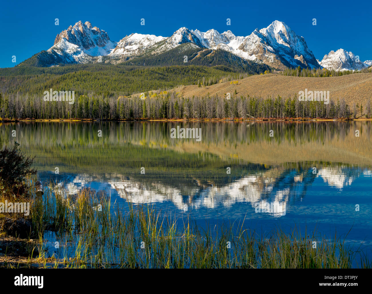 Redfish Lake Idaho High Resolution Stock Photography and Images - Alamy