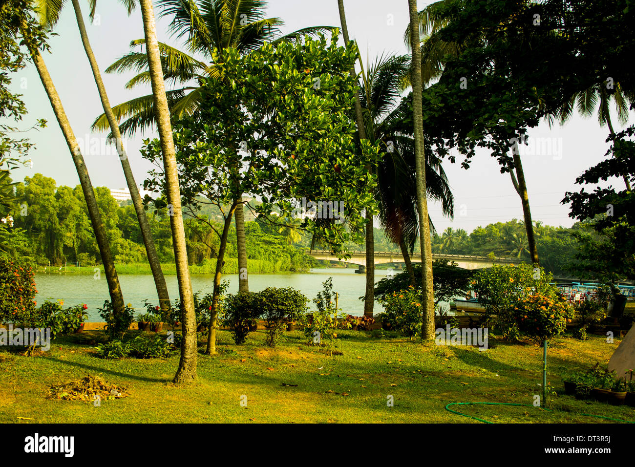 The Veli lake gardens in India Stock Photo - Alamy
