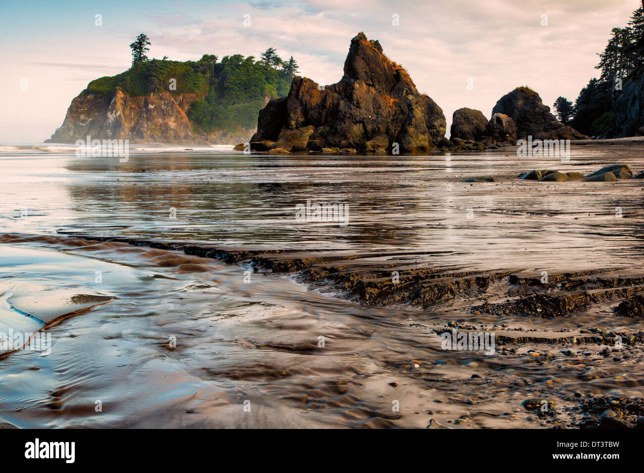 Ruby Beach, Pacific Coast, Oregon Stock Photo - Alamy