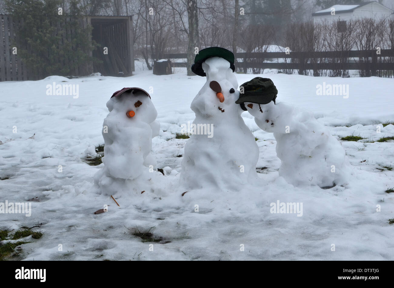 Real Melting Snowman