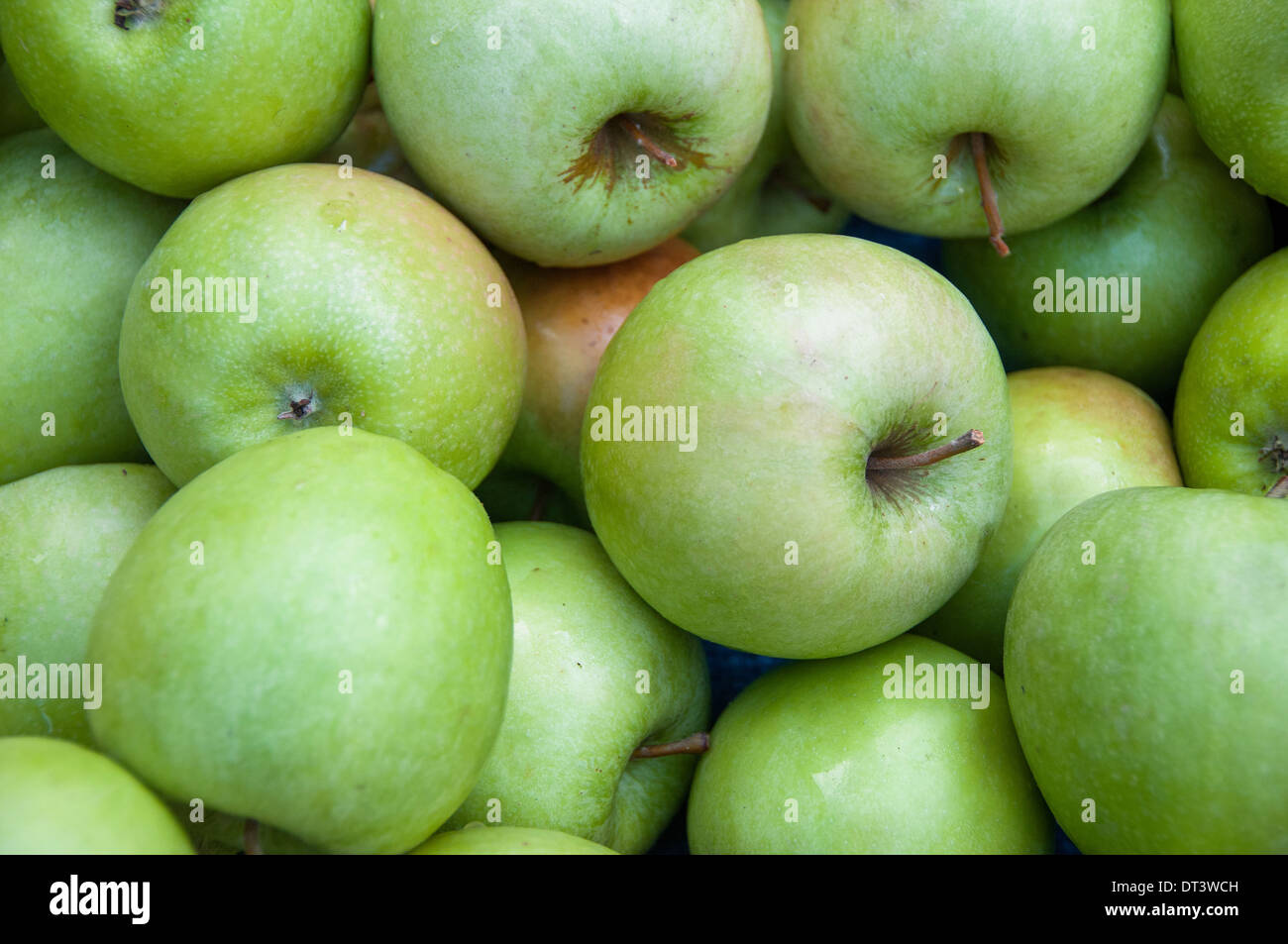 A heap of green apples Stock Photo - Alamy