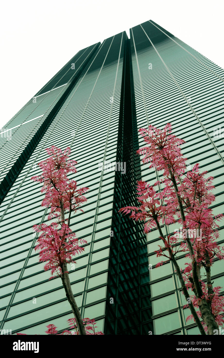 Tokyo in spring hi-res stock photography and images - Alamy