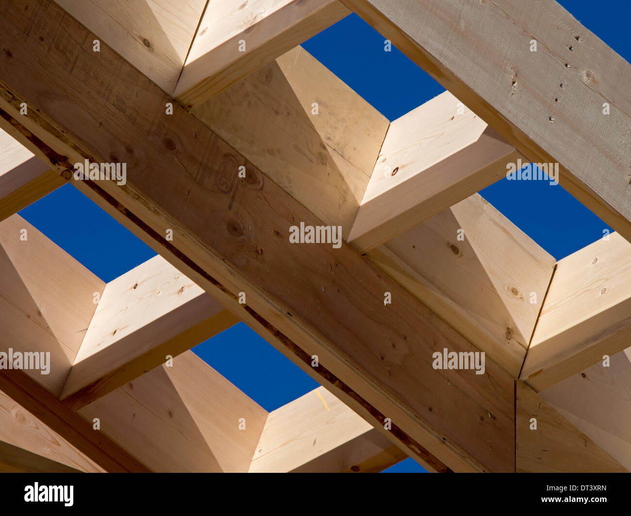 A grid of new timbers makes a pattern against the sky in a part ...