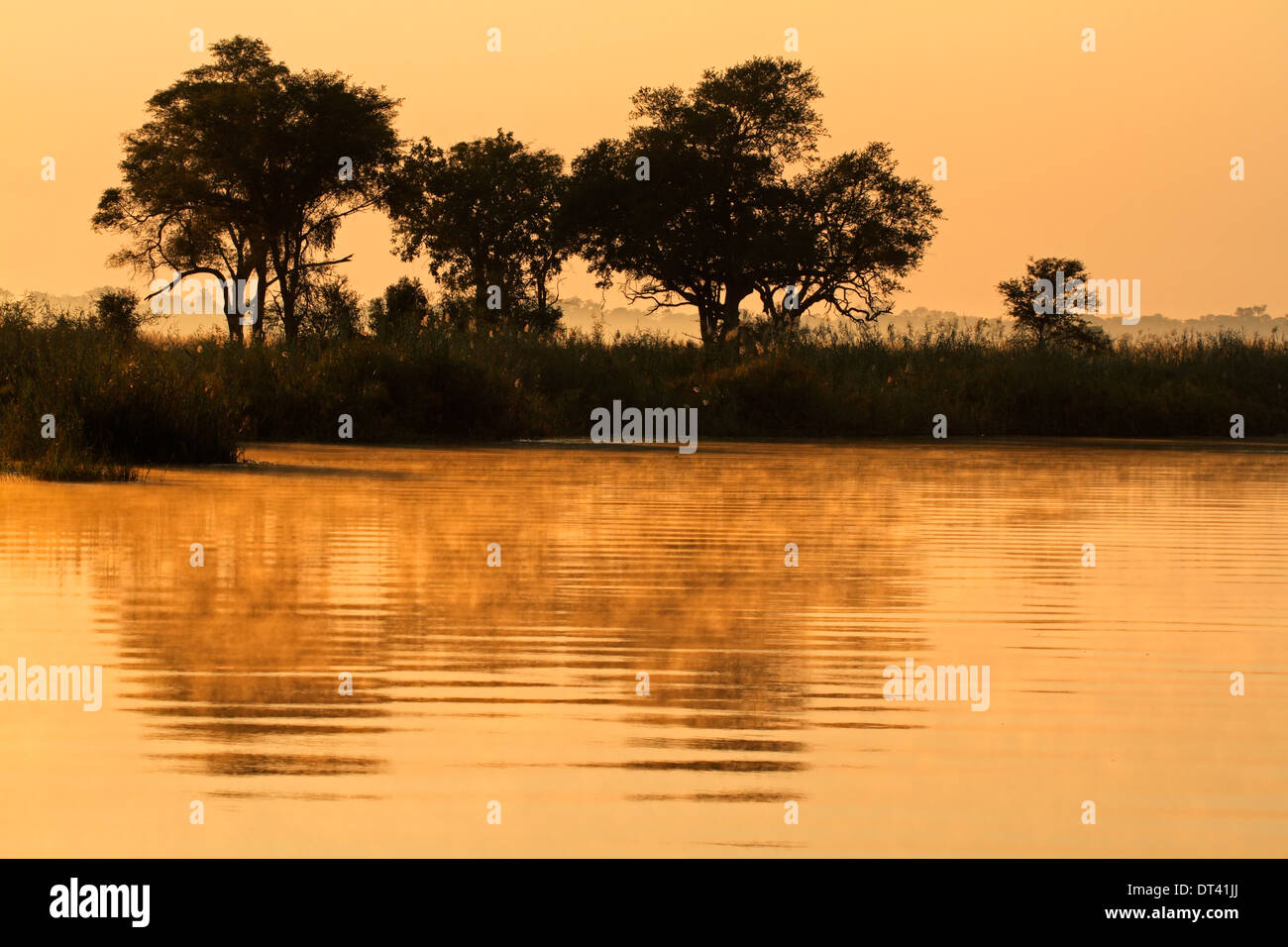 African landscape with trees reflected in water at sunrise, Kwando ...