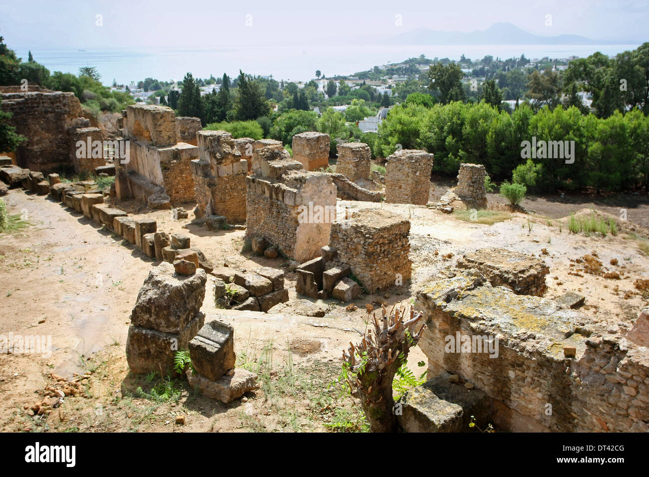 Punic ruins of Byrsa in the ancient city of Carthage in Tunis, Tunisia ...
