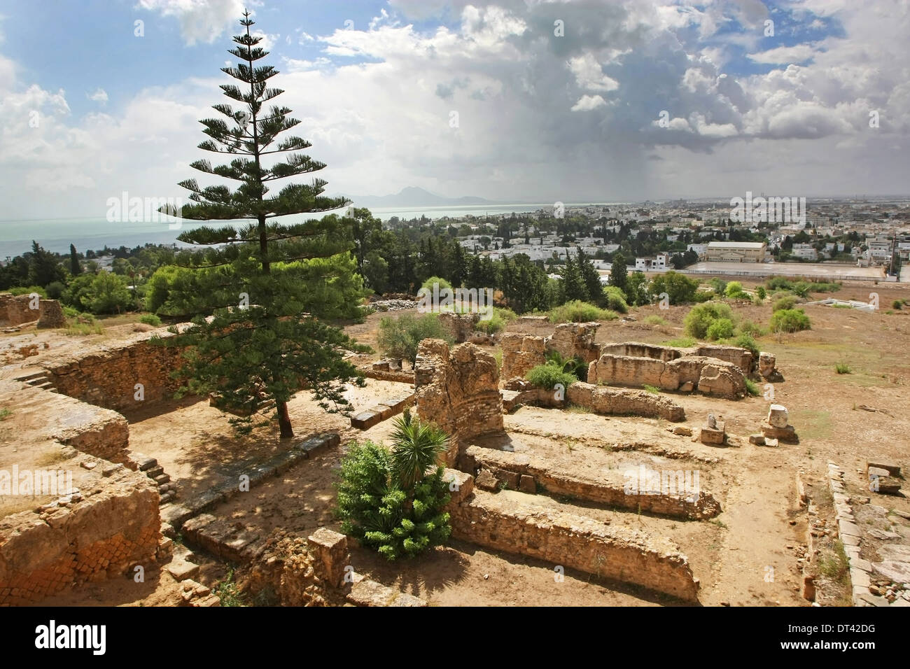 Punic ruins of Byrsa in the ancient city of Carthage in Tunis,Tunisia ...