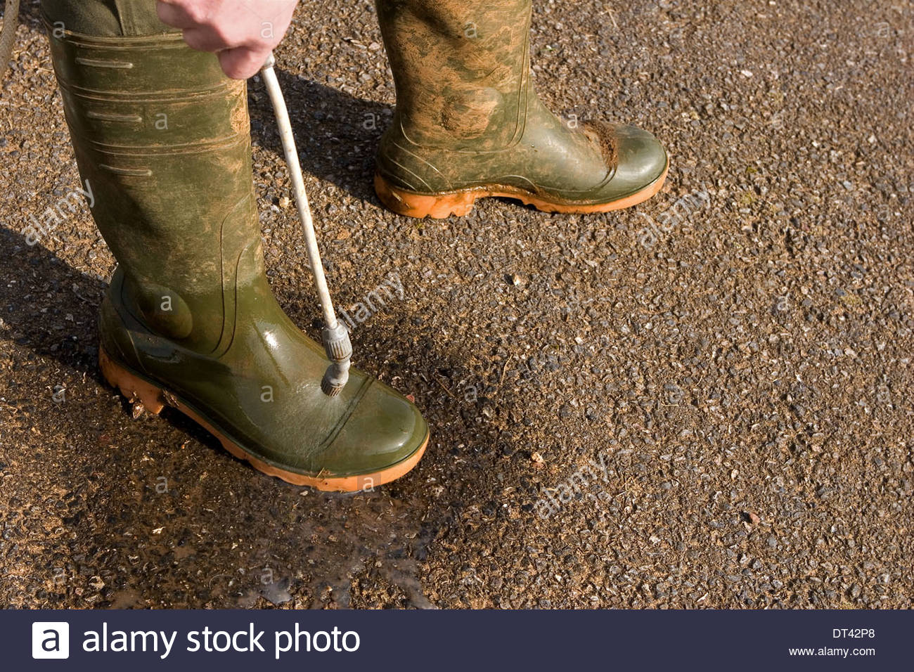 Disinfecting Stock Photos & Disinfecting Stock Images - Alamy