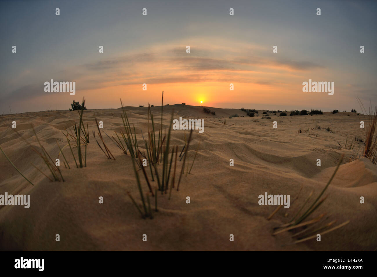 beautiful sunset in desert Stock Photo - Alamy