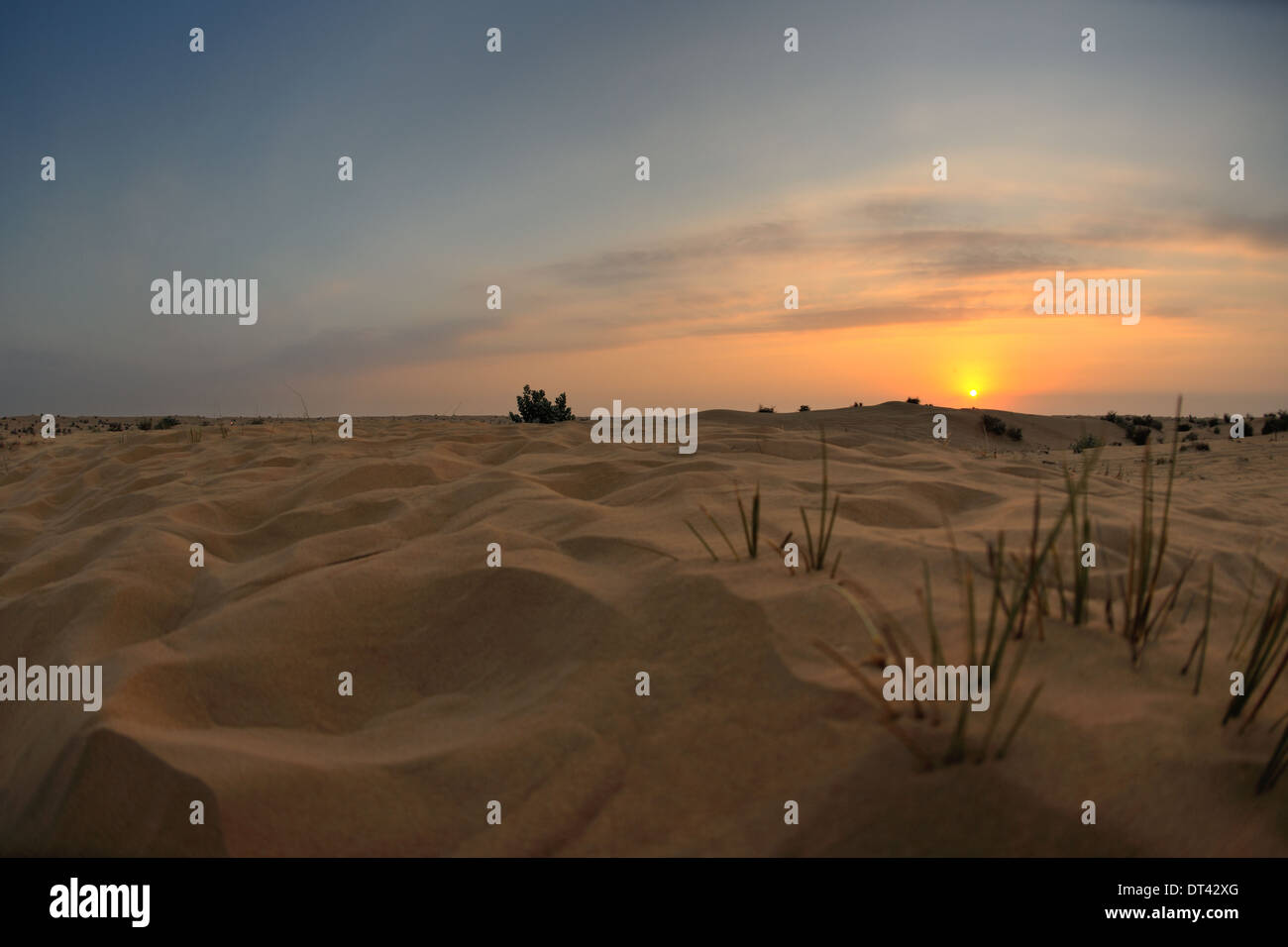 Beautiful desert scene africa hi-res stock photography and images - Alamy
