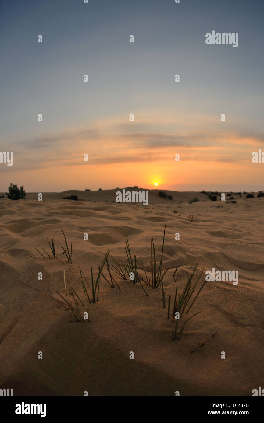 Beautiful desert scene africa hi-res stock photography and images - Alamy