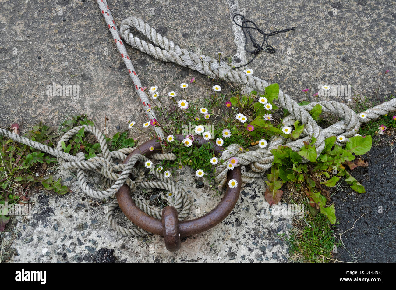 Tethered connection hi-res stock photography and images - Alamy