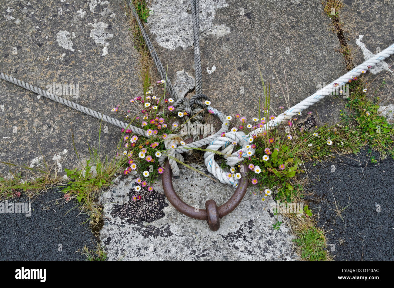 Tethering Rope High Resolution Stock Photography and Images - Alamy