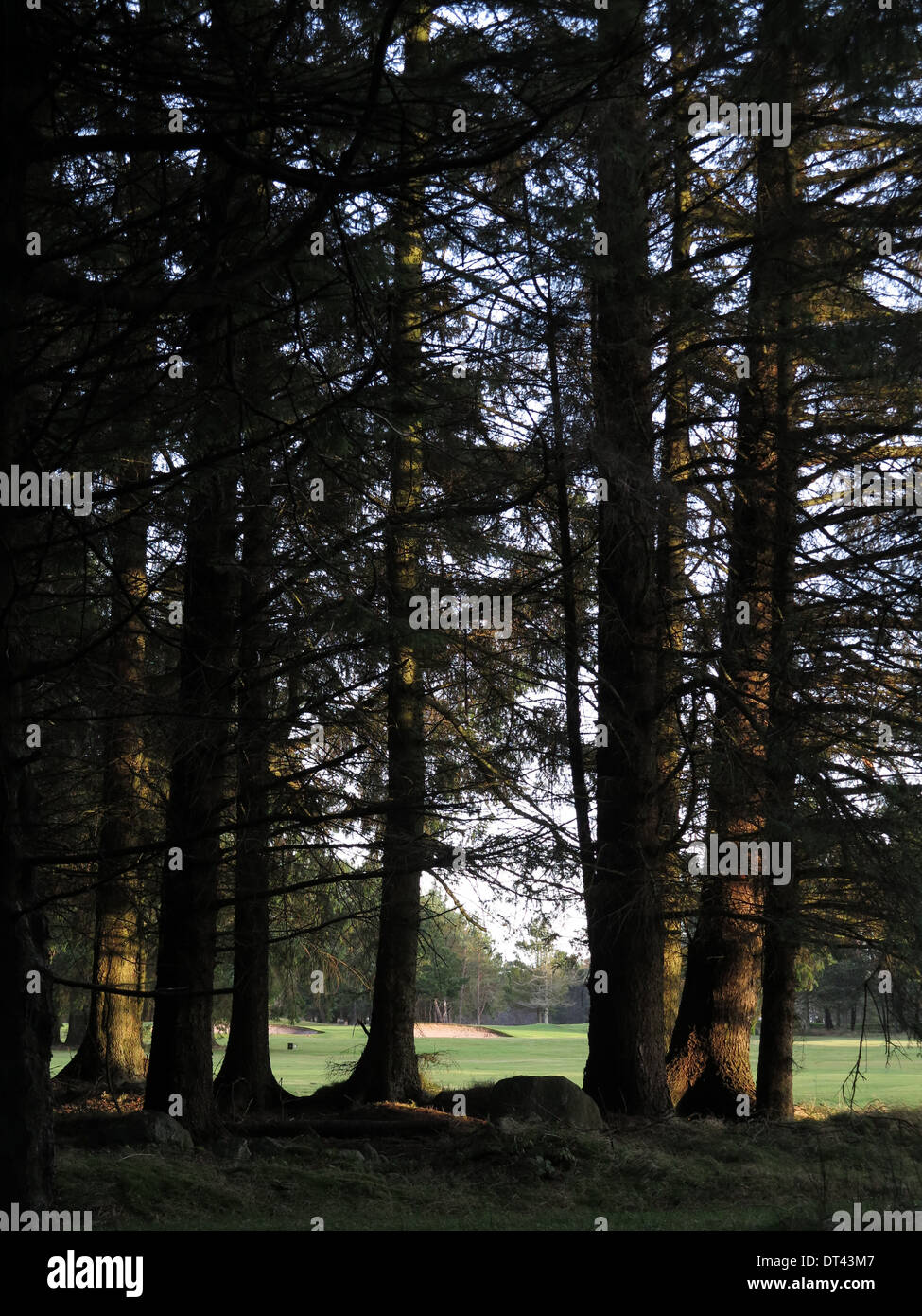 Aberdeen crematorium hi-res stock photography and images - Alamy