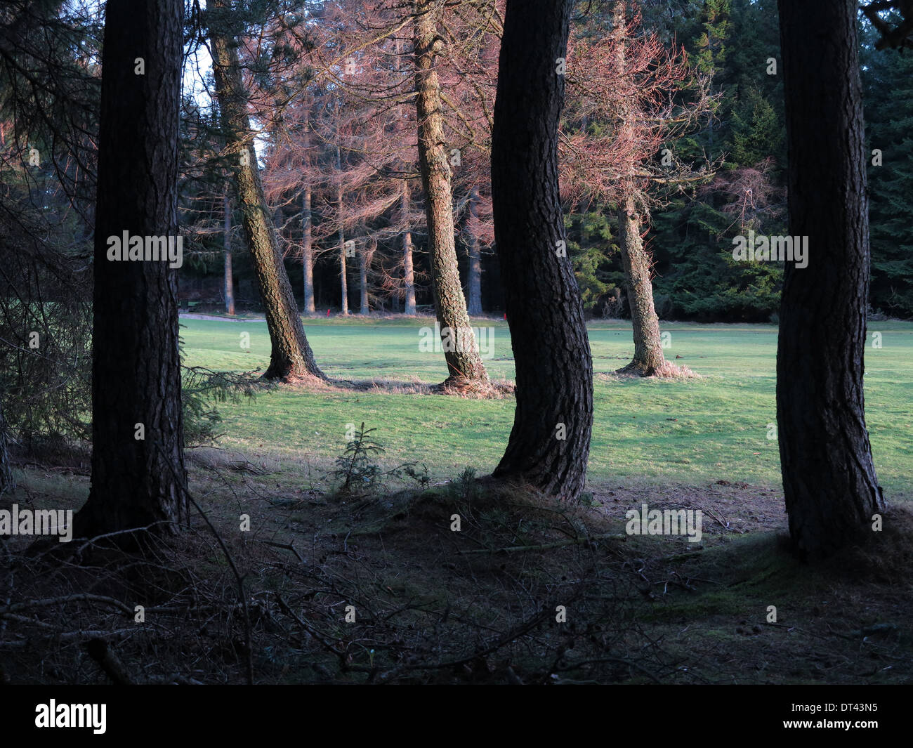 Aberdeen crematorium hi-res stock photography and images - Alamy