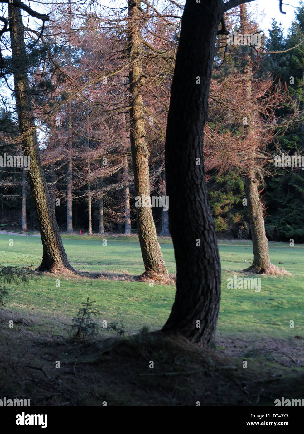 Aberdeen crematorium hi-res stock photography and images - Alamy