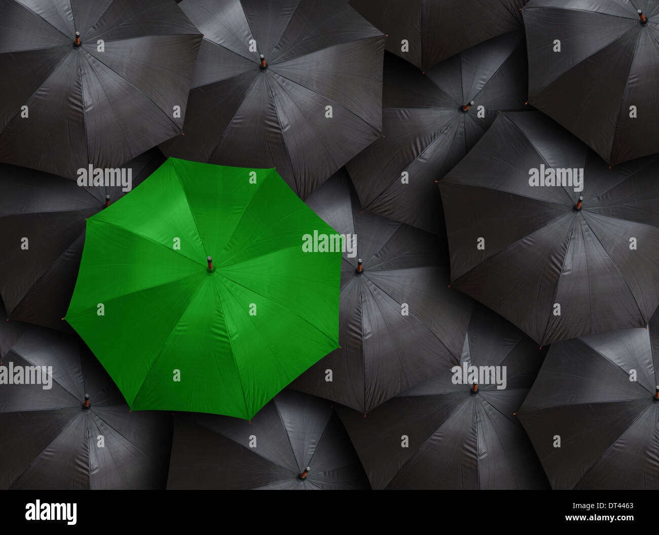 concept for leadership with many blacks and green umbrella Stock Photo ...