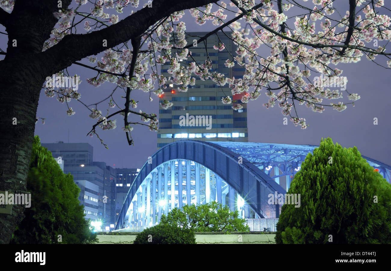 Tokyo spring hi-res stock photography and images - Alamy