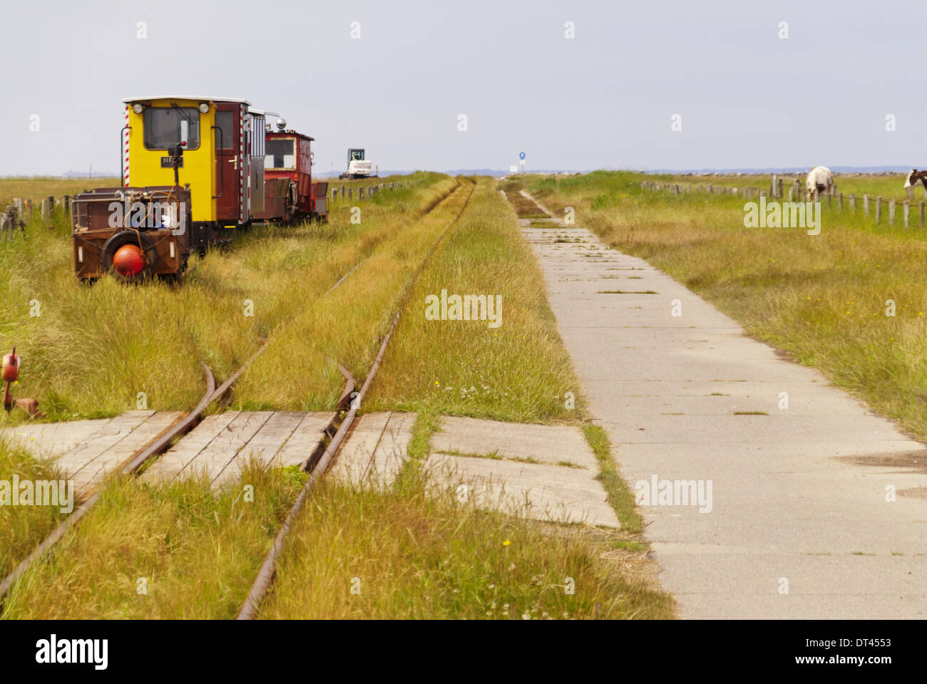 German Island Of Oland High Resolution Stock Photography and Images - Alamy