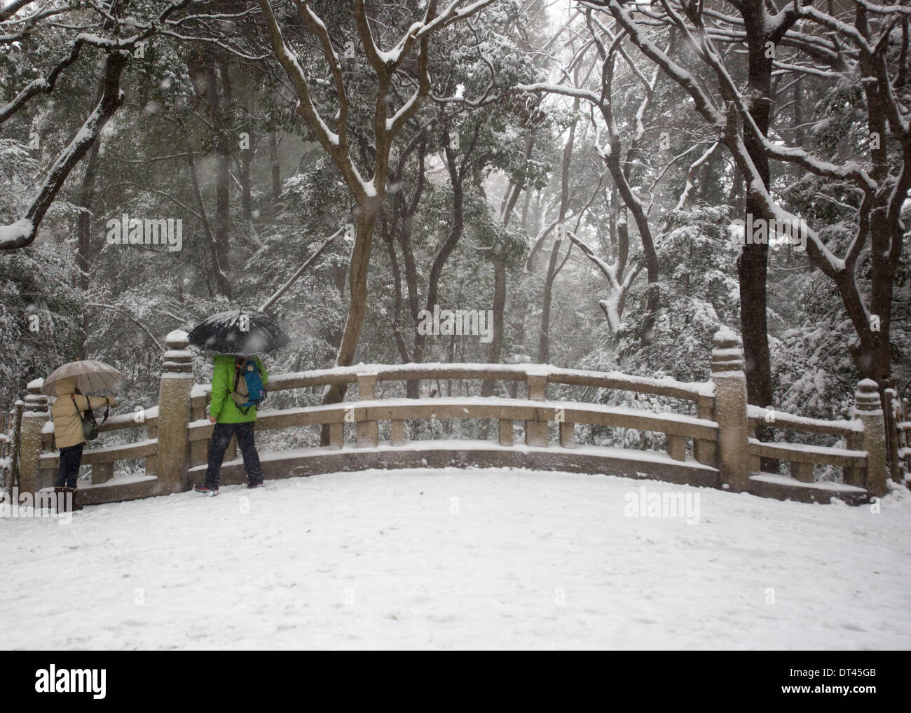 Tokyo, Japan. 8th Feb, 2014. Visitors stand on a bridge inside Meiji ...