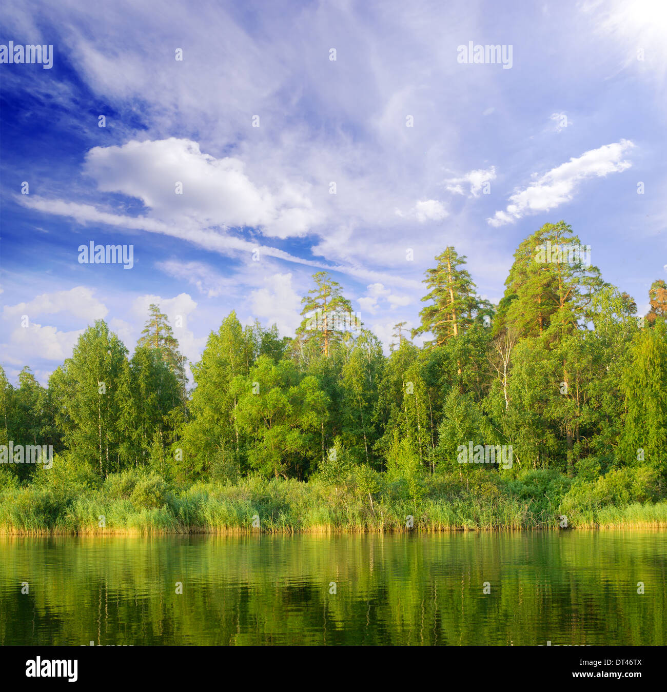 Forest lake hi-res stock photography and images - Alamy