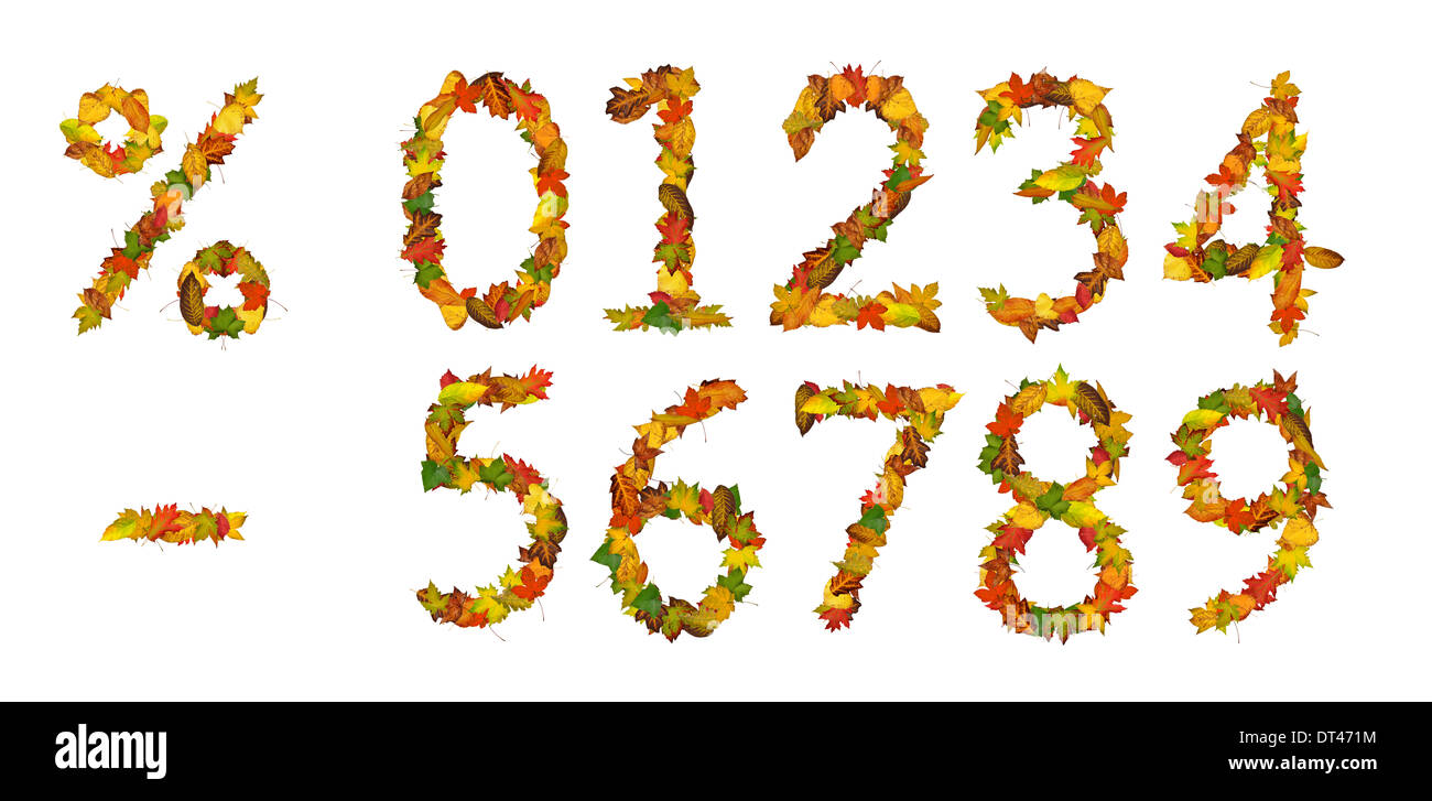 Numbers made leaves hi-res stock photography and images - Alamy