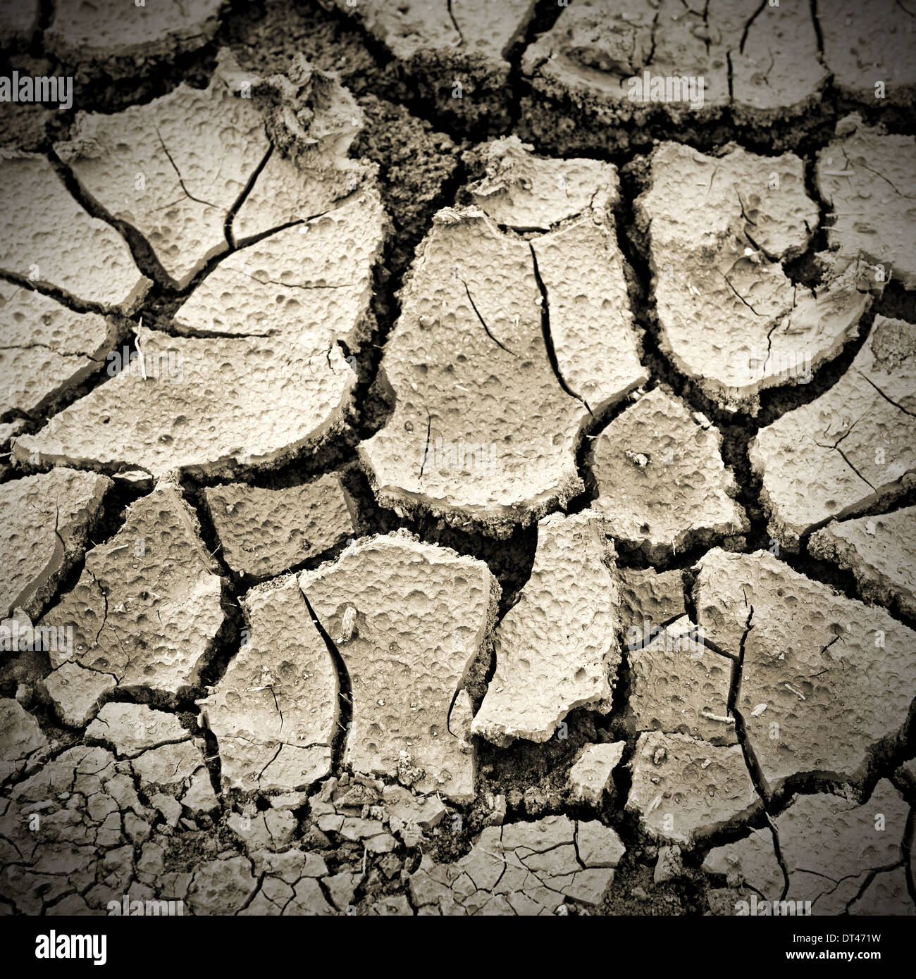 Scorched soil hi-res stock photography and images - Alamy