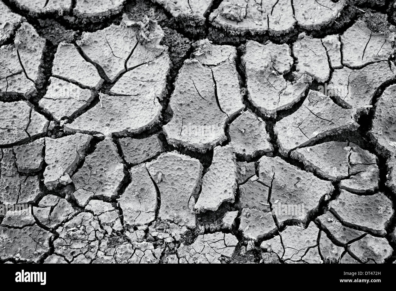 Dehydrated soil hi-res stock photography and images - Alamy