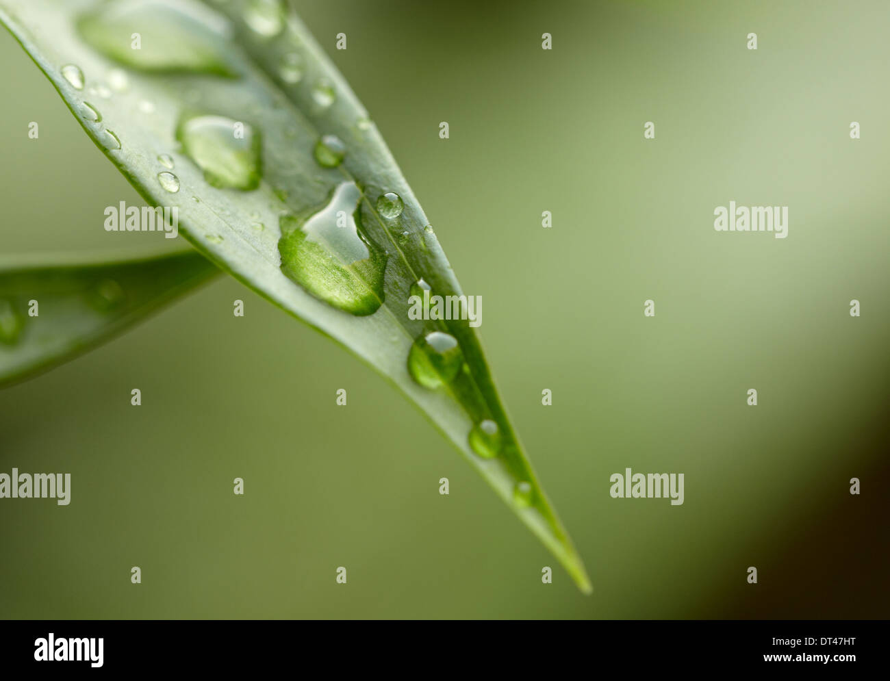 Water texture clo hi-res stock photography and images - Alamy