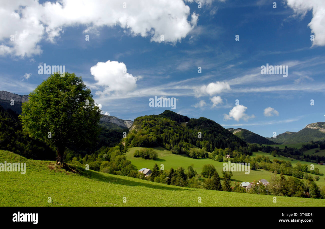 Chartreuse natural park hi-res stock photography and images - Alamy