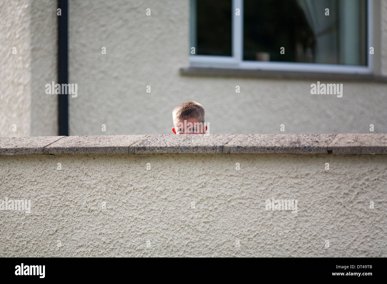 Peek over fence hi-res stock photography and images - Alamy