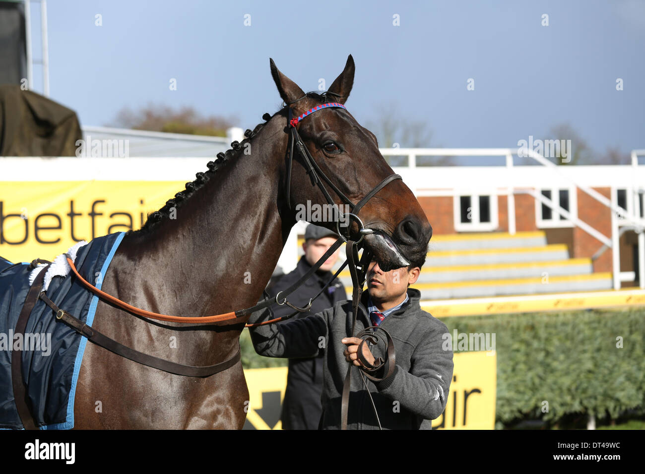 Sprinter sacre horse hi-res stock photography and images - Alamy